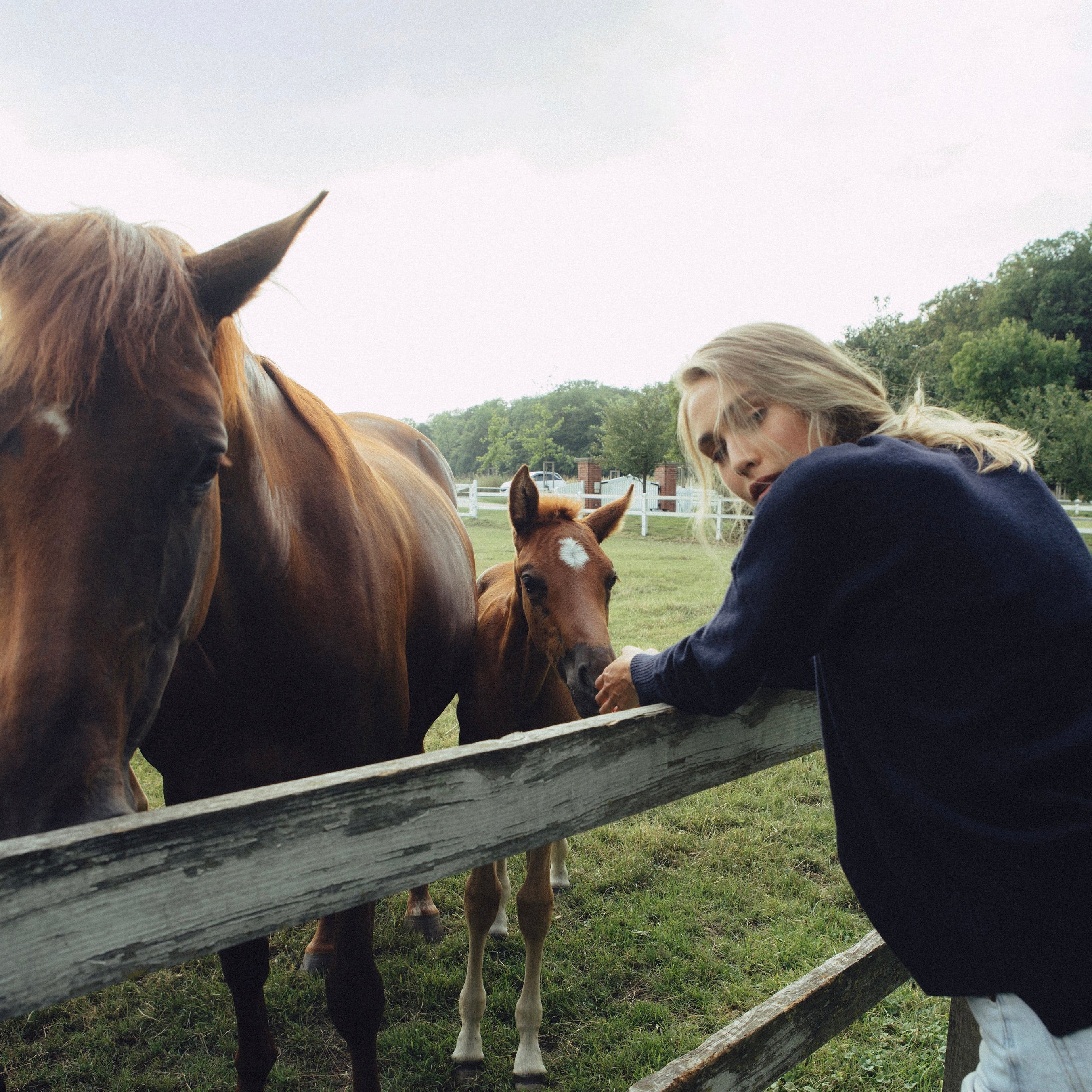 ANNA V BERG x PATRICIA WIRSCHKE